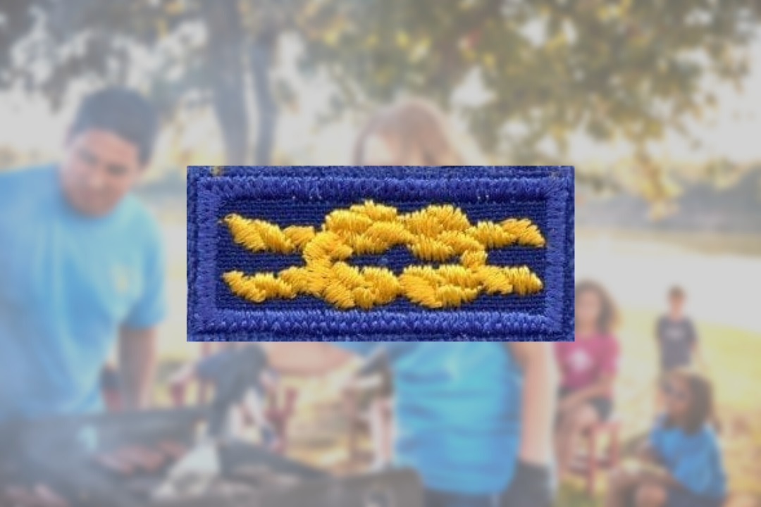 Achievements & Awards - Cub Scout Pack 261