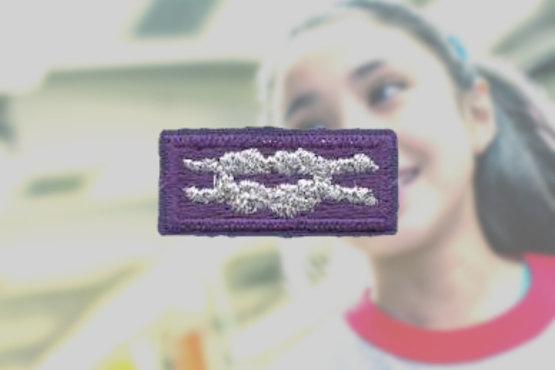 Achievements & Awards - Cub Scout Pack 261